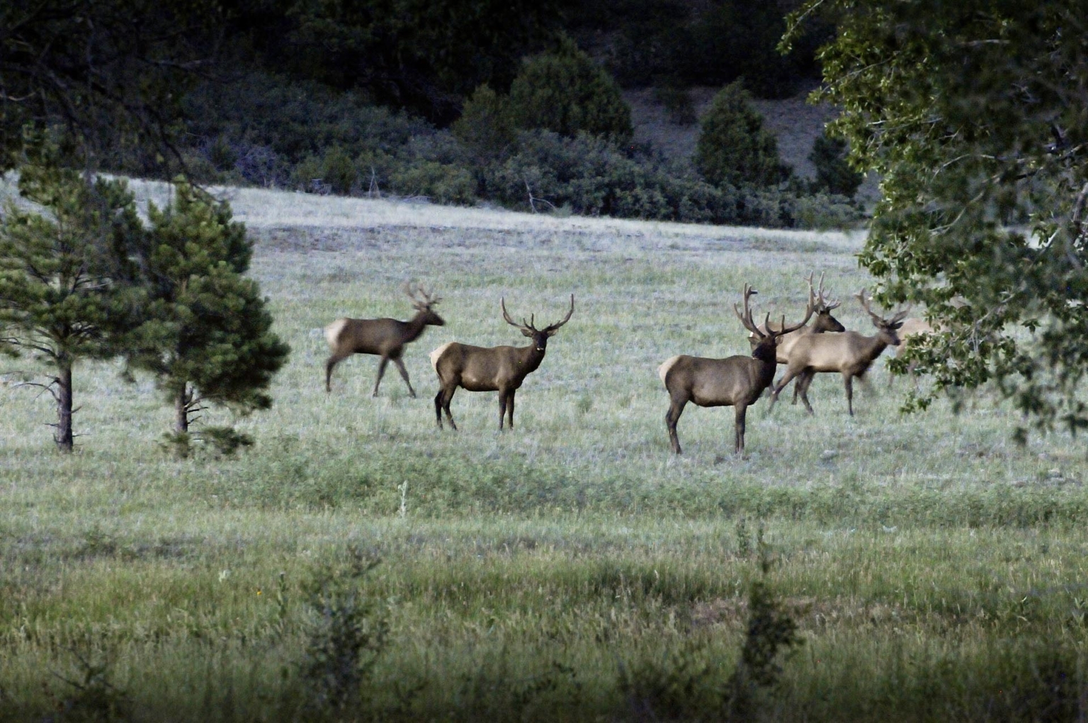 Sapello River Retreat | Sapello New Mexico | Fay Ranches