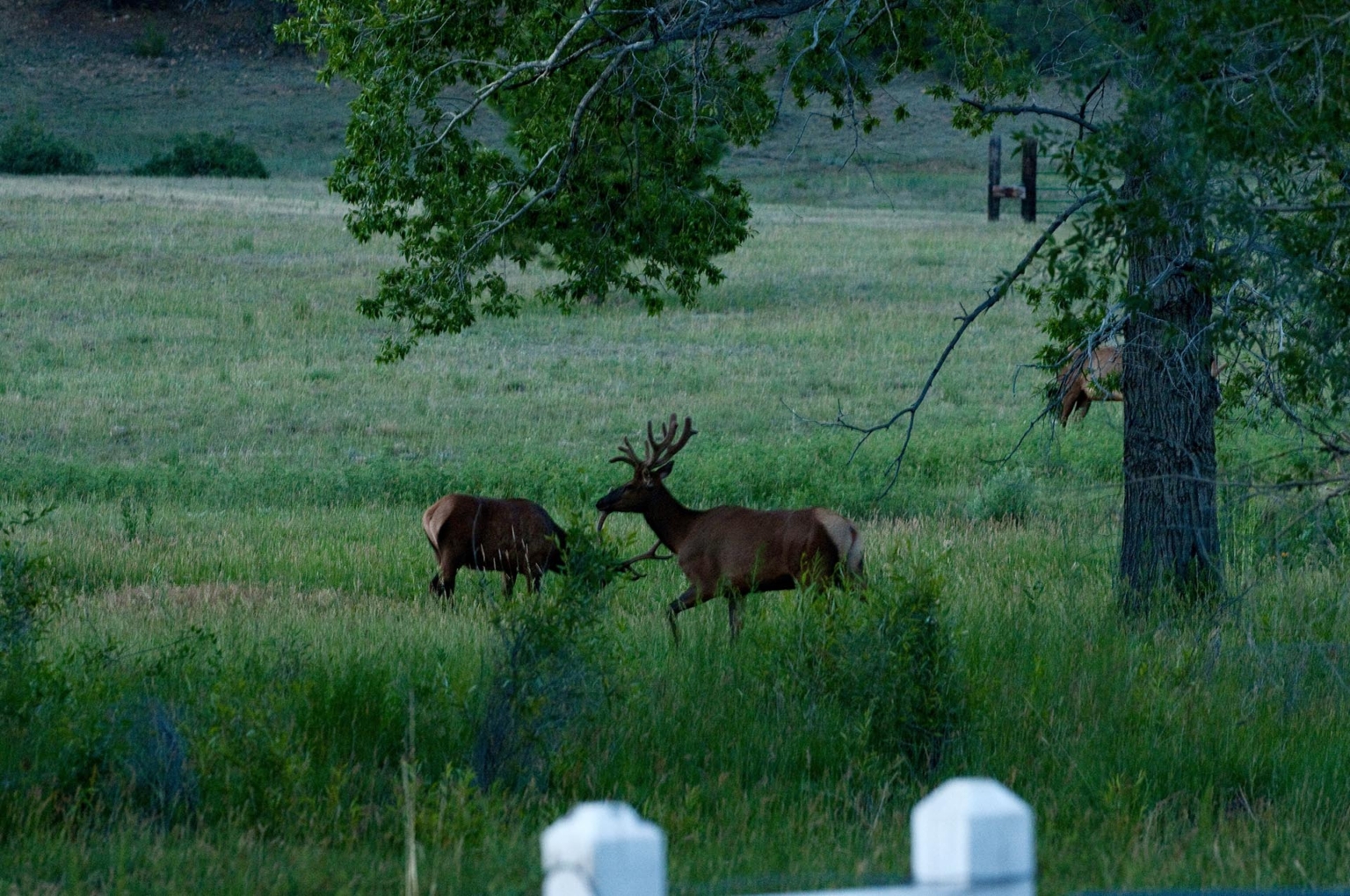 Sapello River Retreat | Sapello New Mexico | Fay Ranches