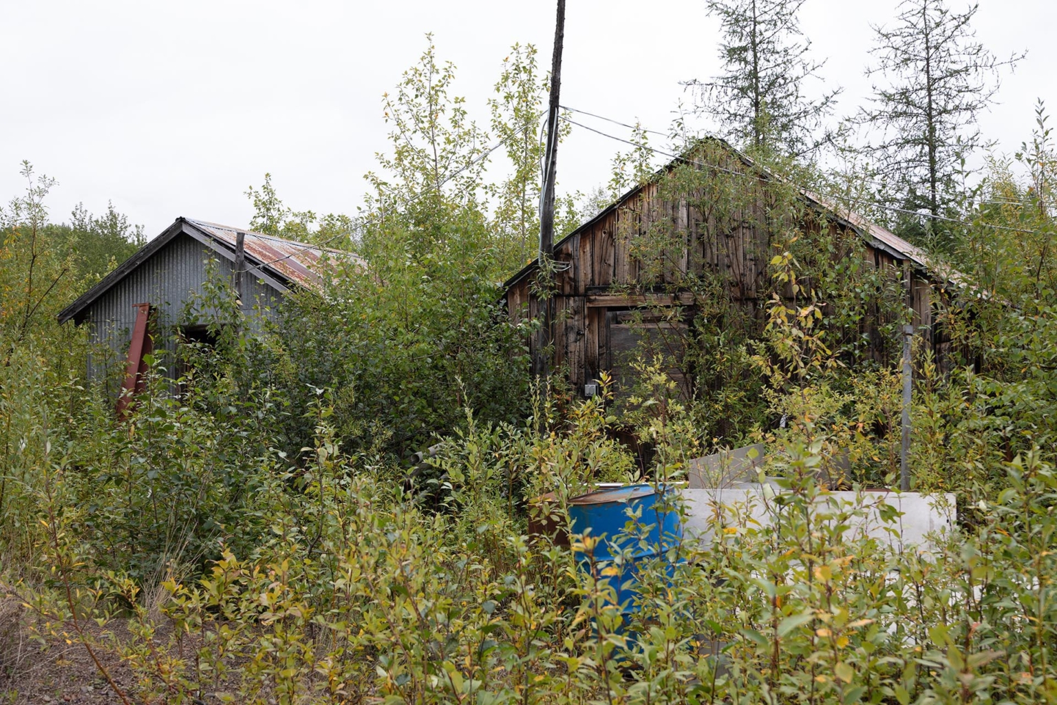 Cripple Creek Gold Mine | McGrath Alaska | Fay Ranches