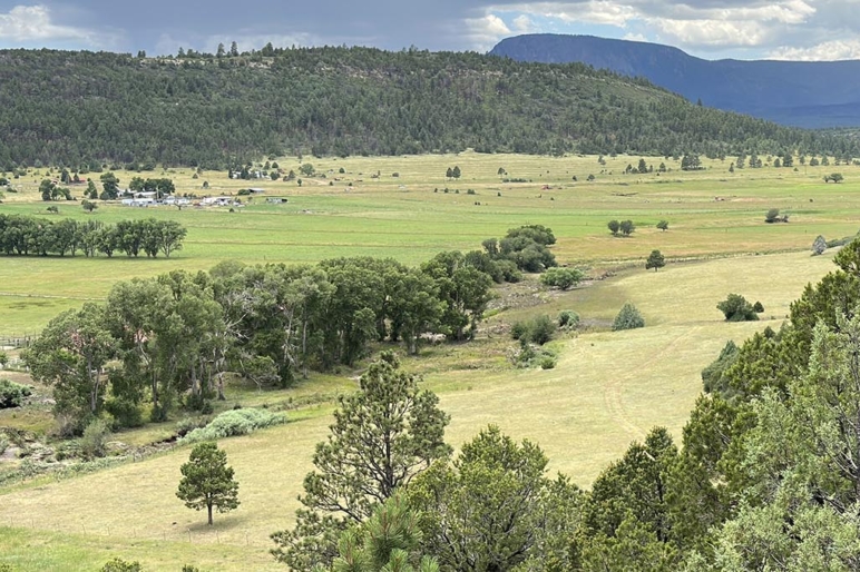 New Mexico Ranch Land Properties For Sale | Fay Ranches