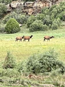 Sapello River Retreat | Sapello New Mexico | Fay Ranches