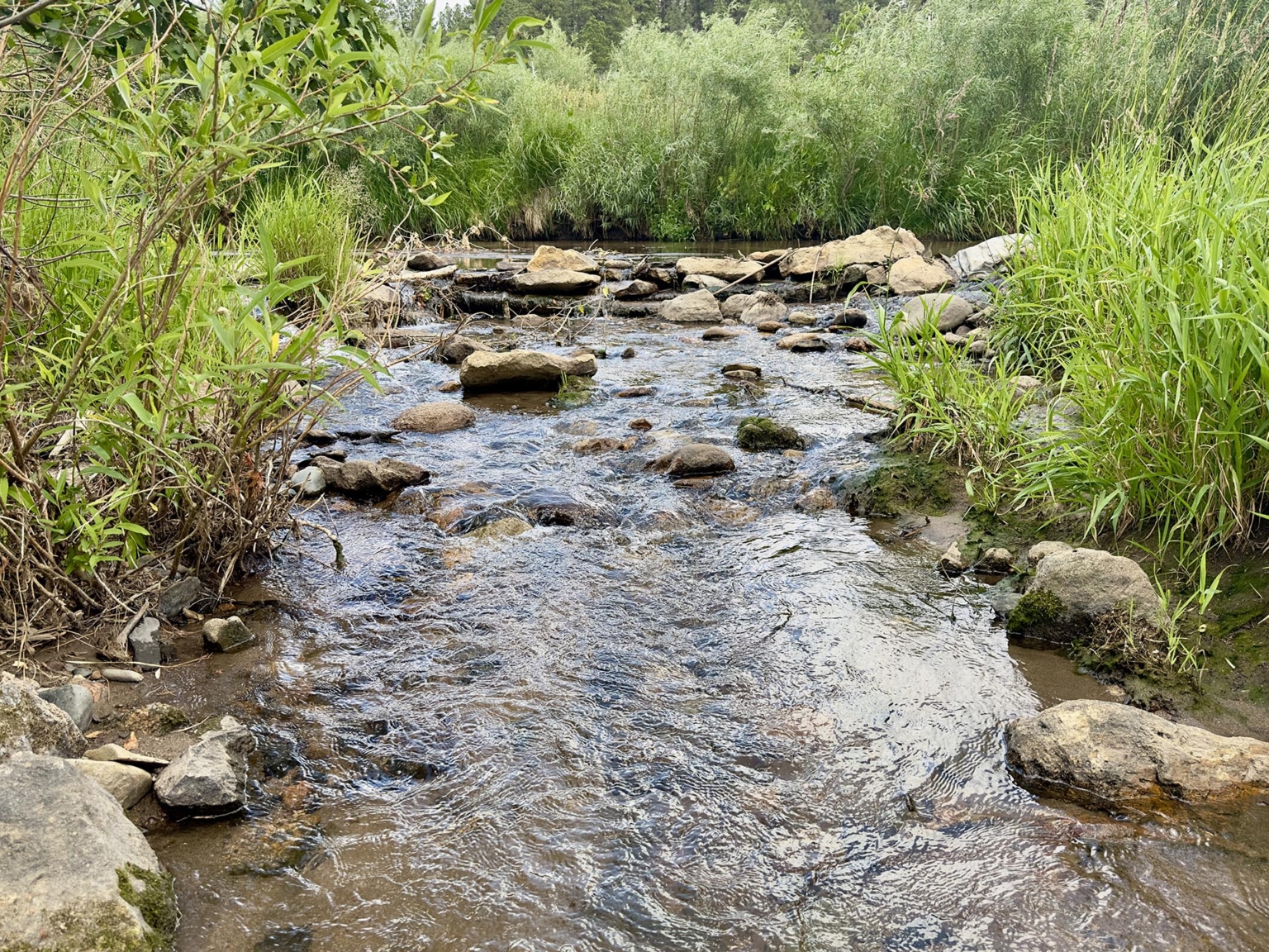 Sapello River Retreat | Sapello New Mexico | Fay Ranches
