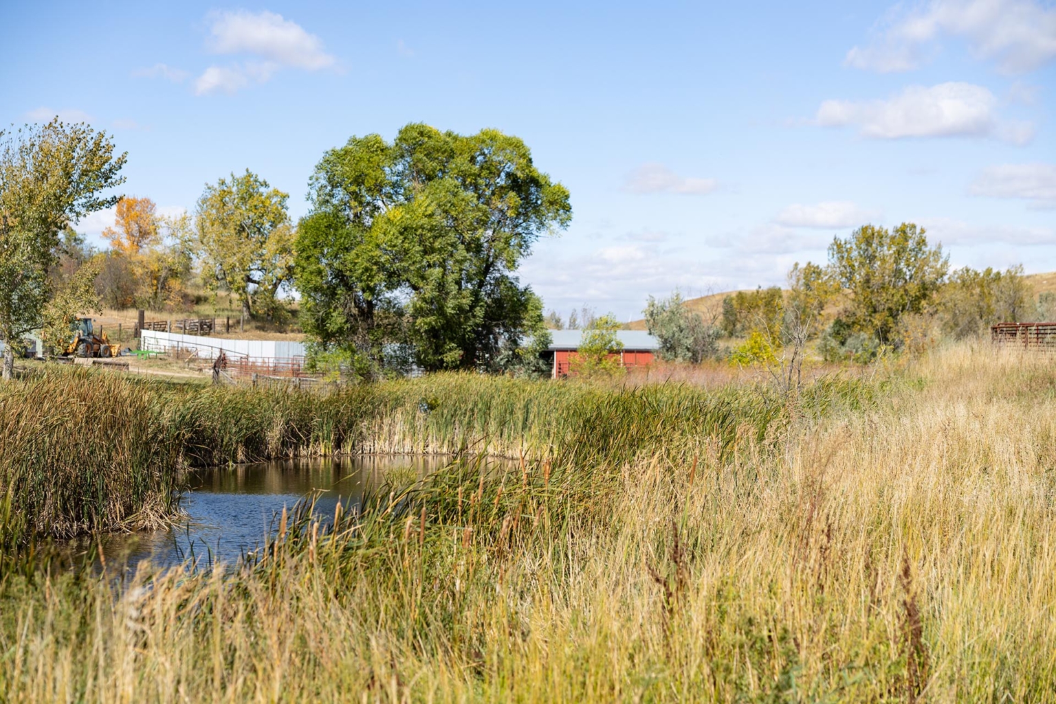 Crown Butte Creek Ranch | Mandan North Dakota | Fay Ranches