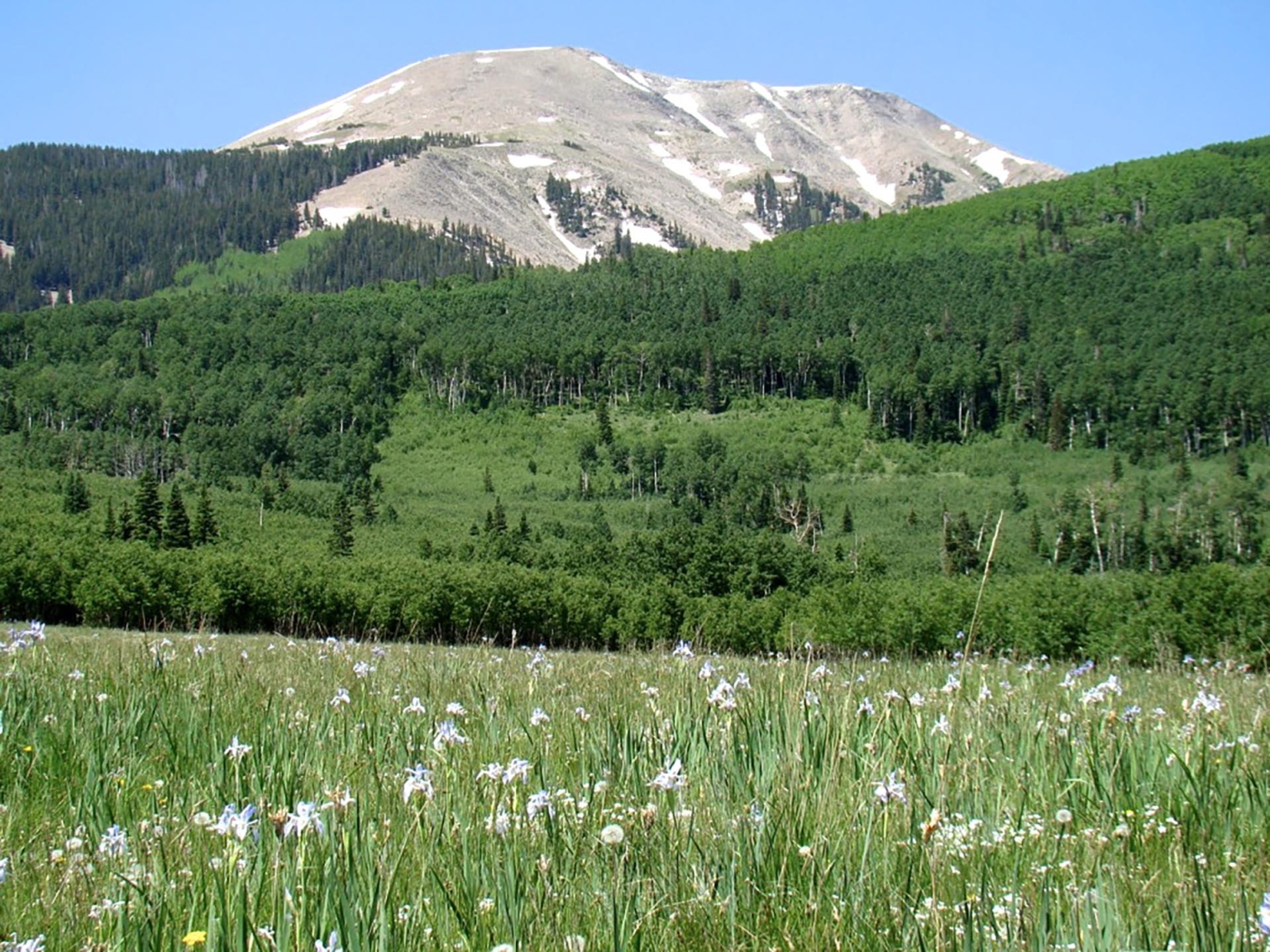 JB Ranch | Moab Utah | Fay Ranches