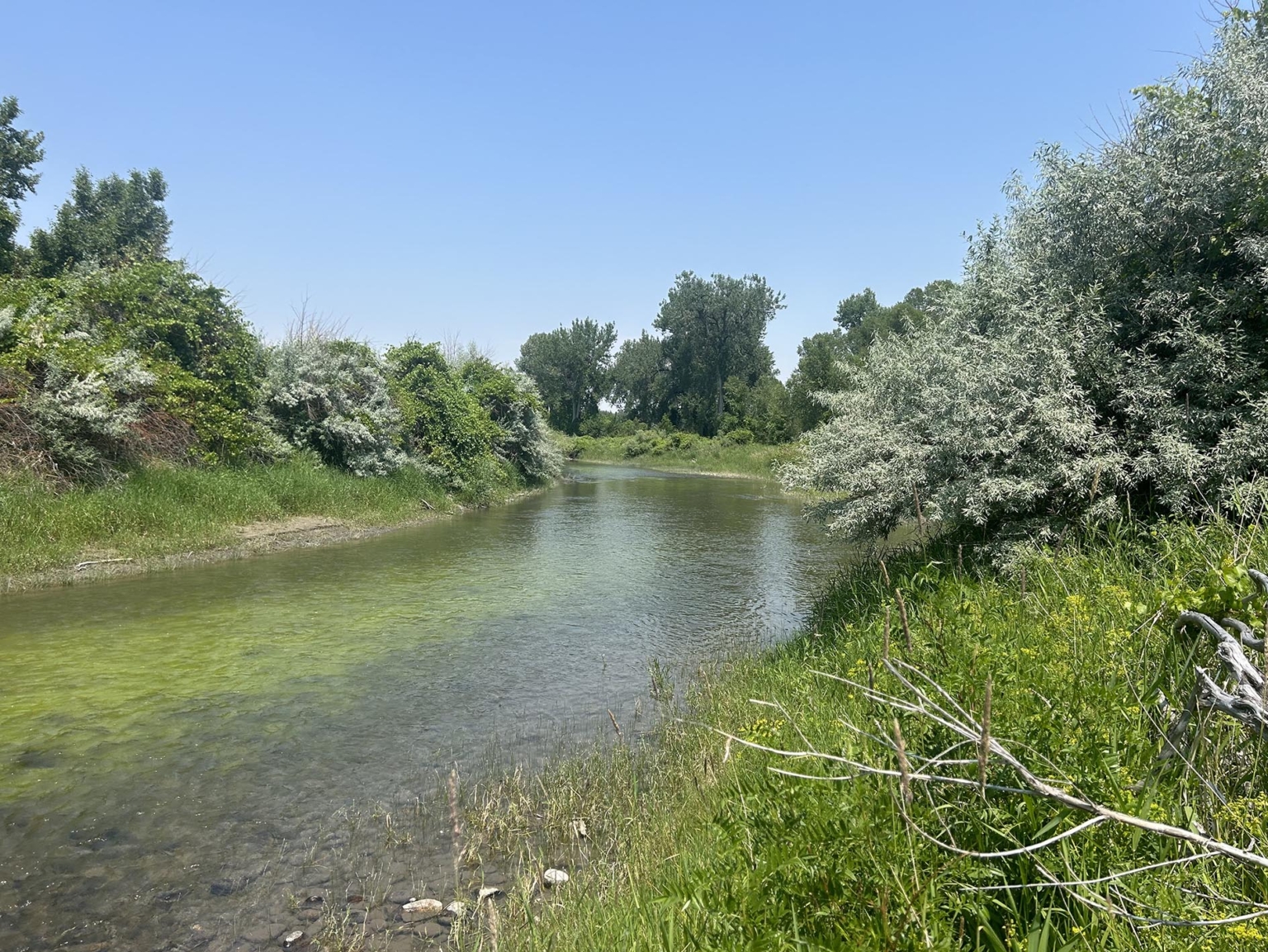 Yellowstone River Hunting Retreat | Fishing Property | Fay Ranches