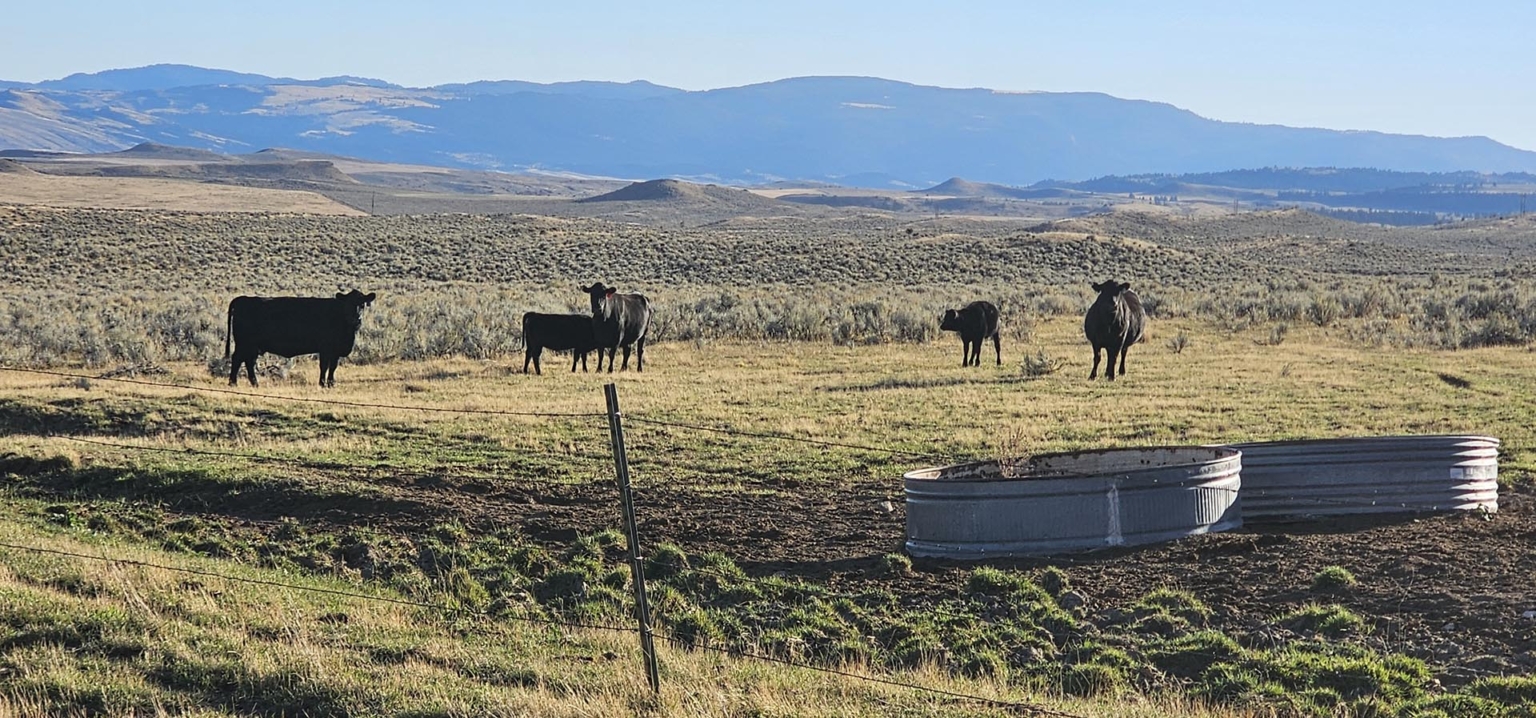 Shields Valley View Ranch | Wilsall Montana | Fay Ranches