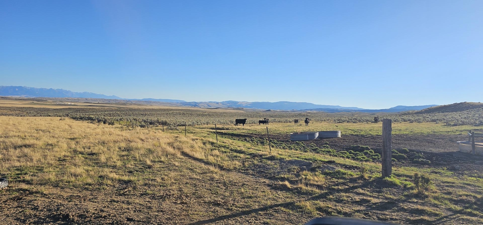 Shields Valley View Ranch | Wilsall Montana | Fay Ranches