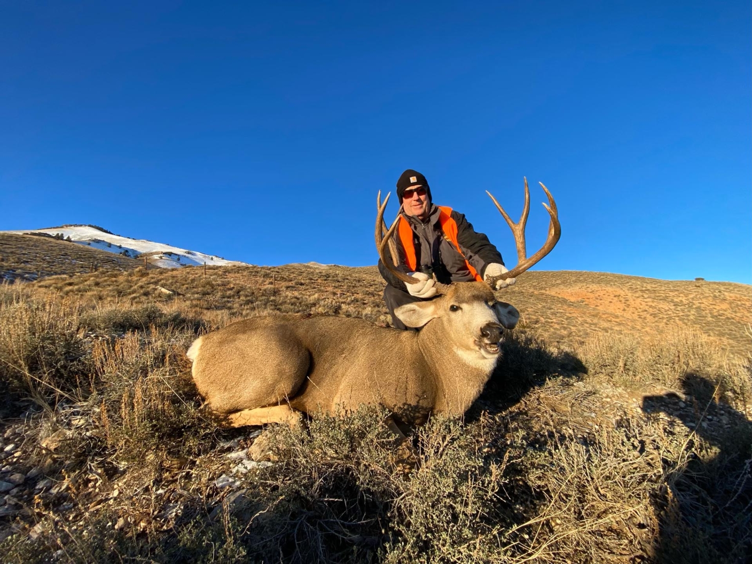 Elk Meadows Ranch | Lima, Montana | Fay Ranches
