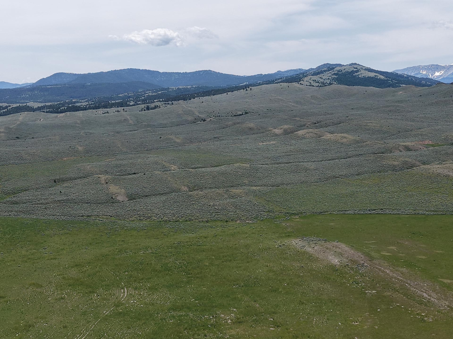 Shields Valley View Ranch | Wilsall Montana | Fay Ranches