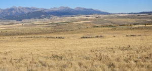 Shields Valley View Ranch | Wilsall Montana | Fay Ranches