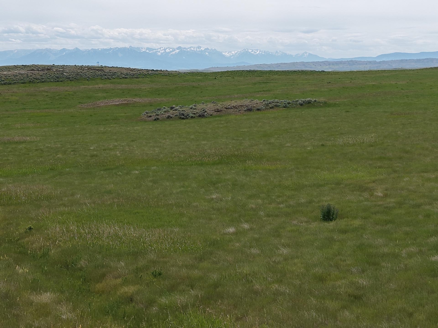 Shields Valley View Ranch | Wilsall Montana | Fay Ranches