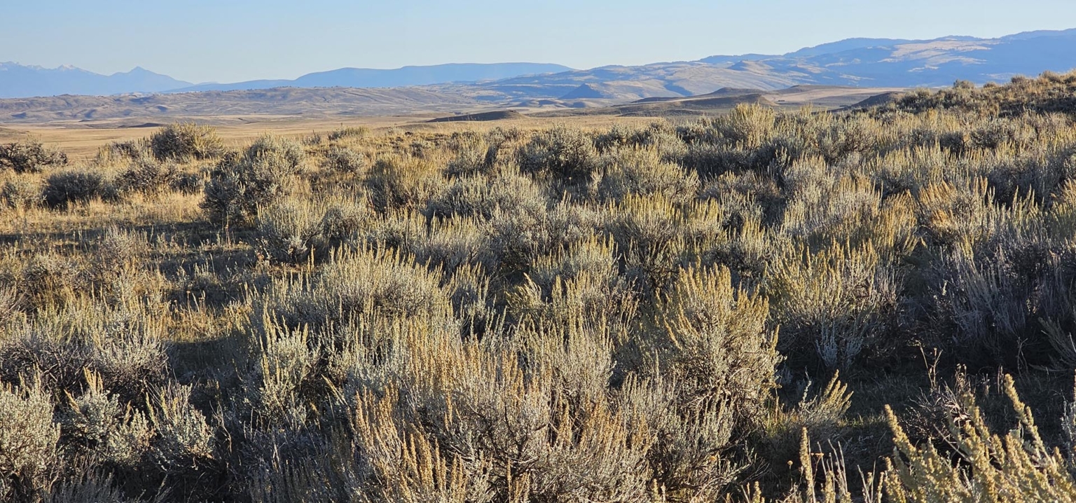 Shields Valley View Ranch | Wilsall Montana | Fay Ranches