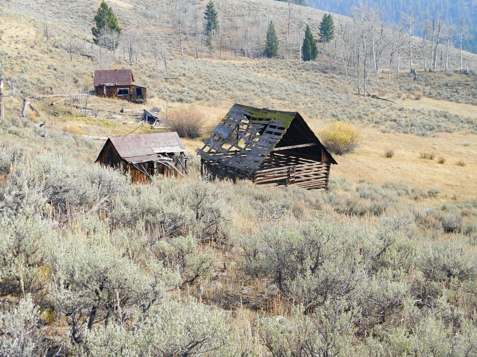 Phelan Creek Ranch | Salmon Idaho | Fay Ranches