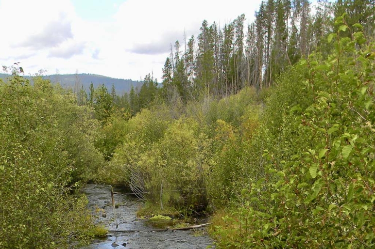 Idaho Ranch Land Properties For Sale | Fay Ranches