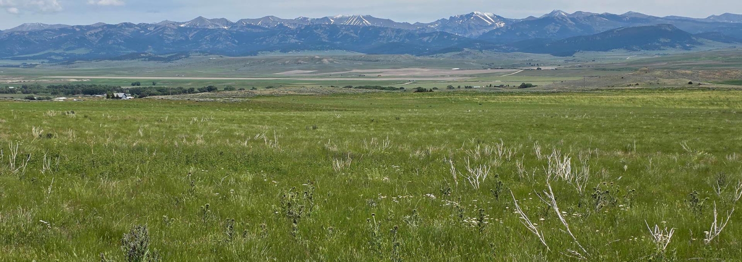 Shields Valley View Ranch | Wilsall Montana | Fay Ranches