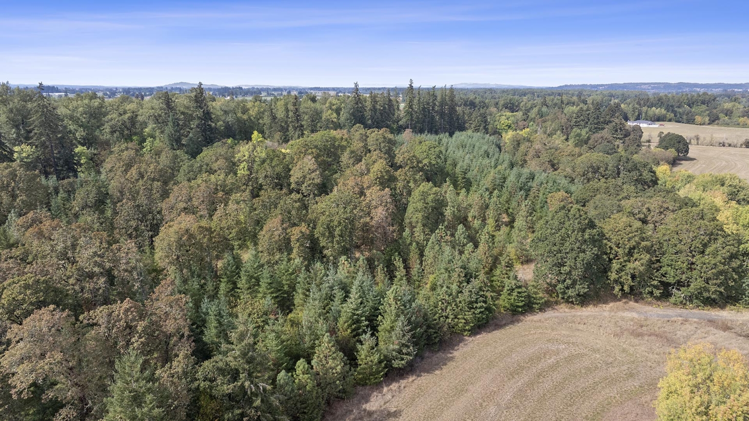 South Santiam Riverfront | Lebanon Oregon | Fay Ranches