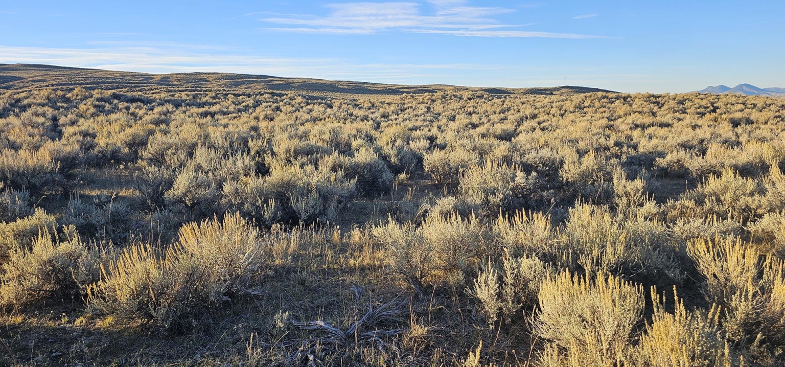 Shields Valley View Ranch | Wilsall Montana | Fay Ranches