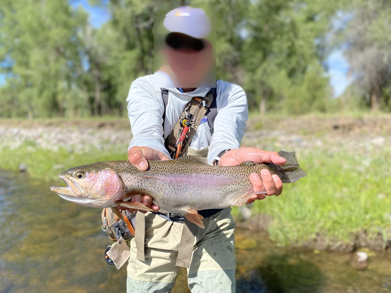 Canones Creek Ranch on the Chama River | Chama New Mexico | Fay Ranches