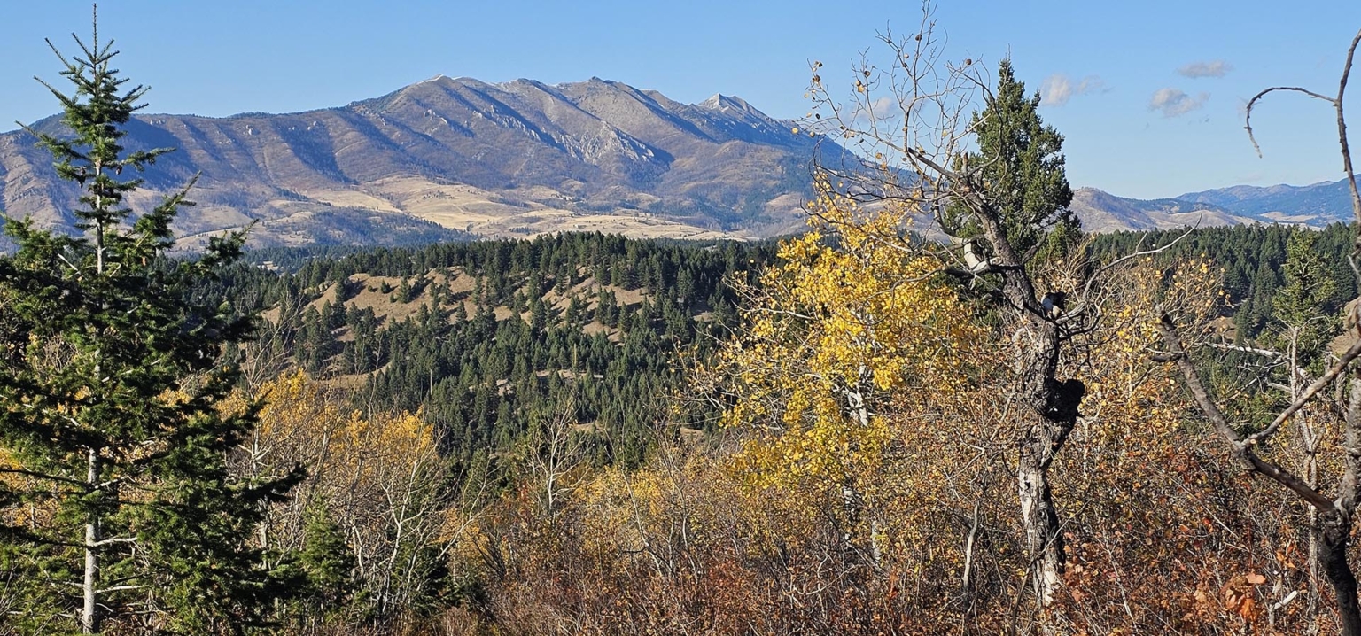 The Schmidt Ranch | Bozeman Montana | Fay Ranches
