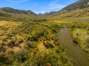 Elk Meadows Ranch | Lima, Montana | Fay Ranches