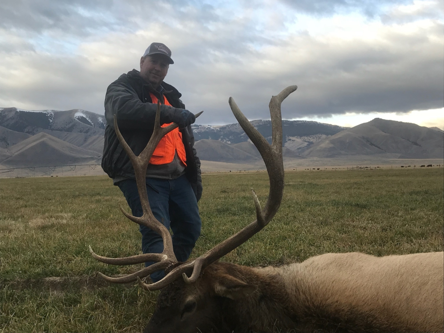 Elk Meadows Ranch | Lima, Montana | Fay Ranches