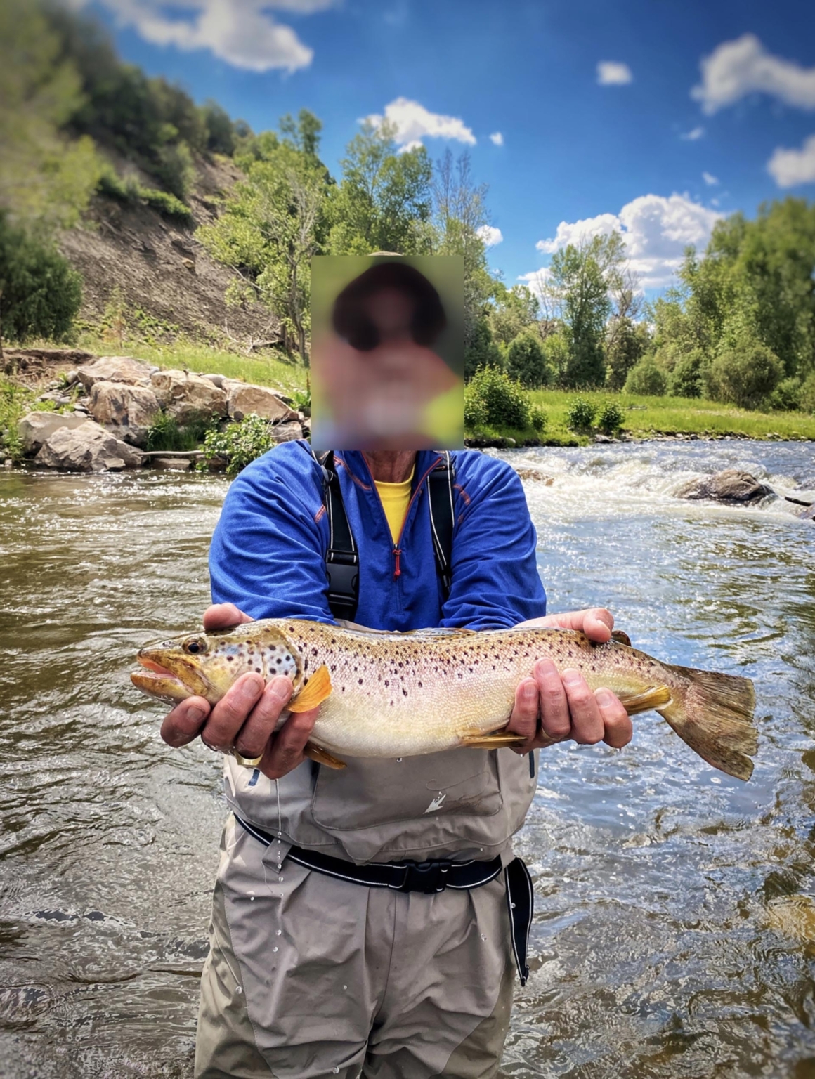 Canones Creek Ranch on the Chama River | Chama New Mexico | Fay Ranches