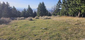 The Schmidt Ranch | Bozeman Montana | Fay Ranches