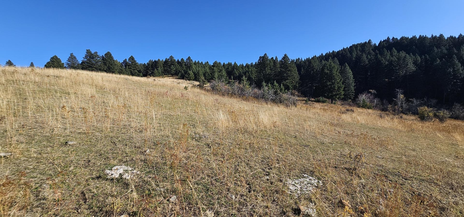 The Schmidt Ranch | Bozeman Montana | Fay Ranches