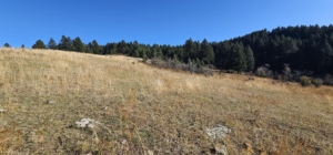 The Schmidt Ranch | Bozeman Montana | Fay Ranches