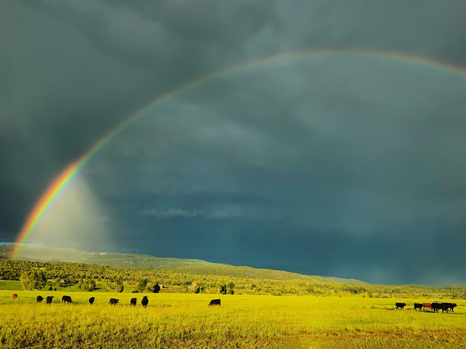 Canones Creek Ranch on the Chama River | Chama New Mexico | Fay Ranches