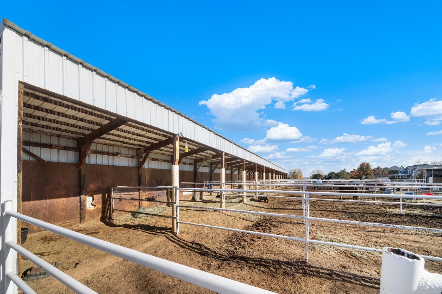 Hobby Horse Farms | Firestone Colorado | Fay Ranches