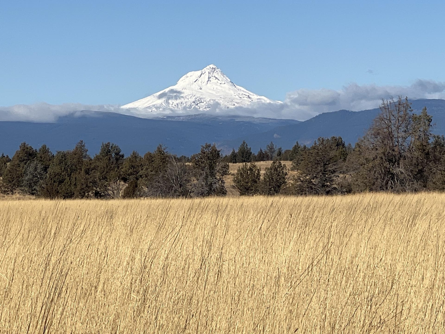 Deschutes River Rim Ranch | Maupin Oregon | Fay Ranches