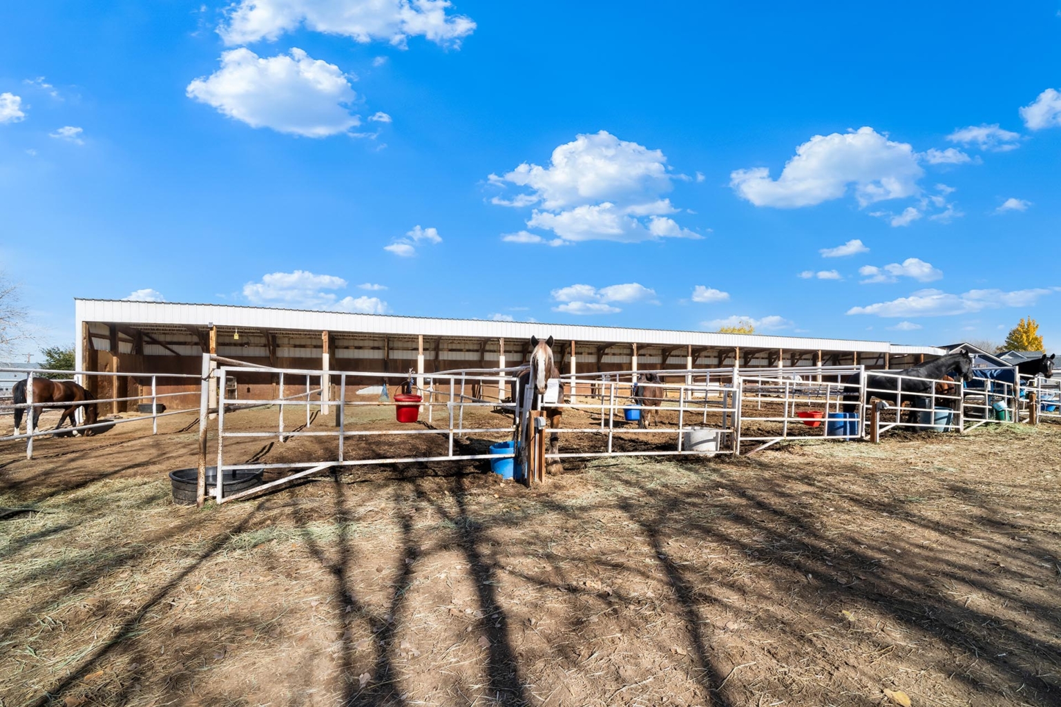 Hobby Horse Farms | Firestone Colorado | Fay Ranches