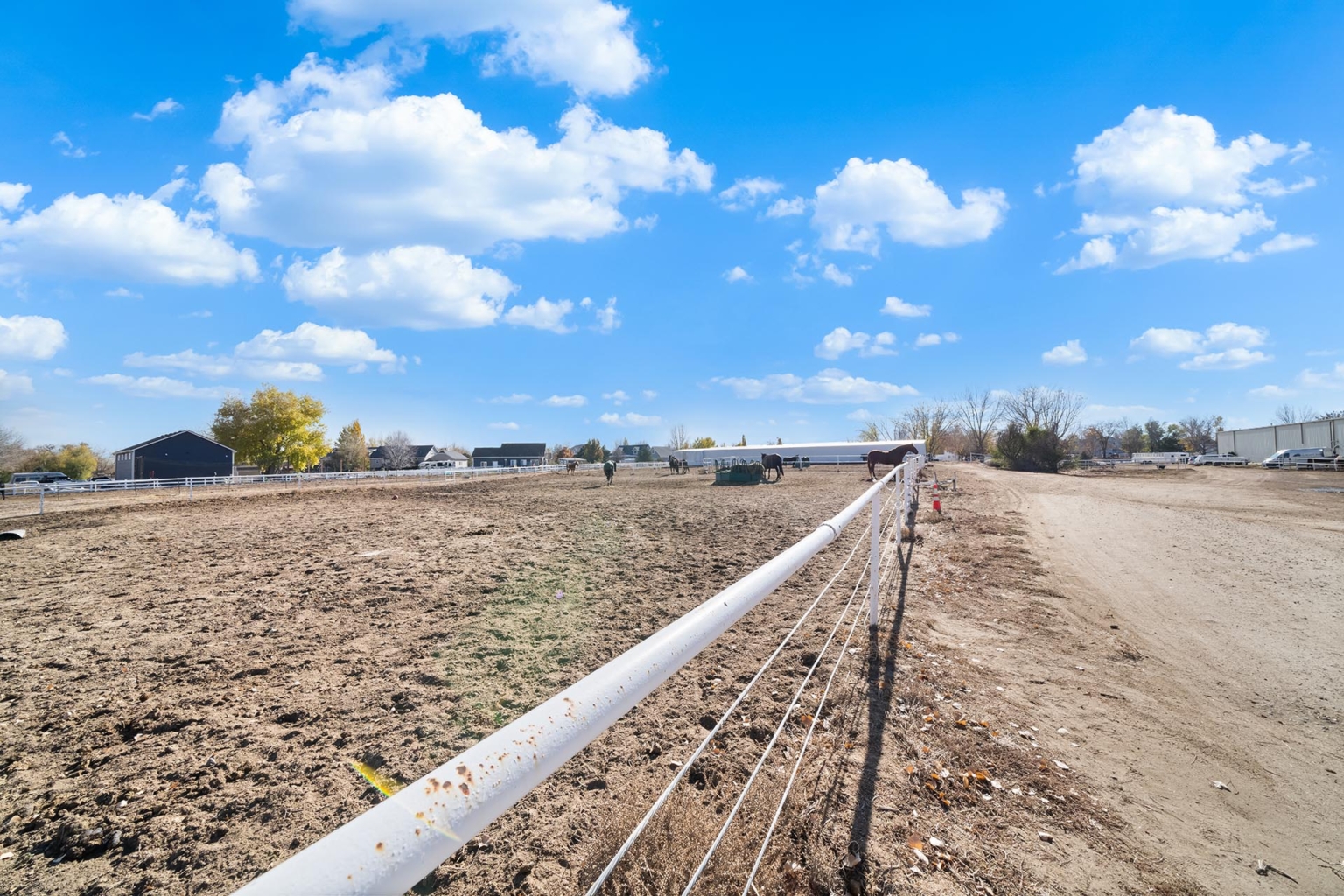 Hobby Horse Farms | Firestone Colorado | Fay Ranches