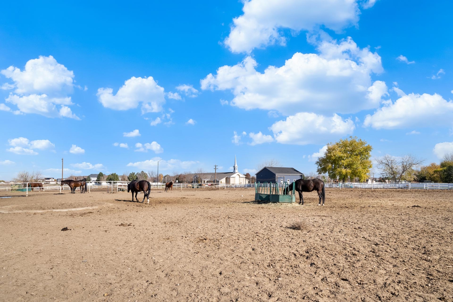 Hobby Horse Farms | Firestone Colorado | Fay Ranches