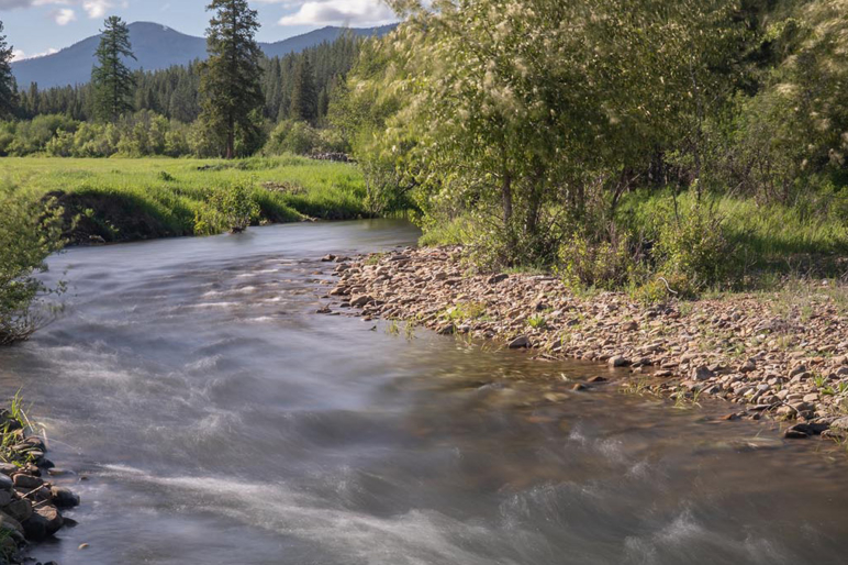 Montana Farm Land For Sale | Large Acreages | Fay Ranches