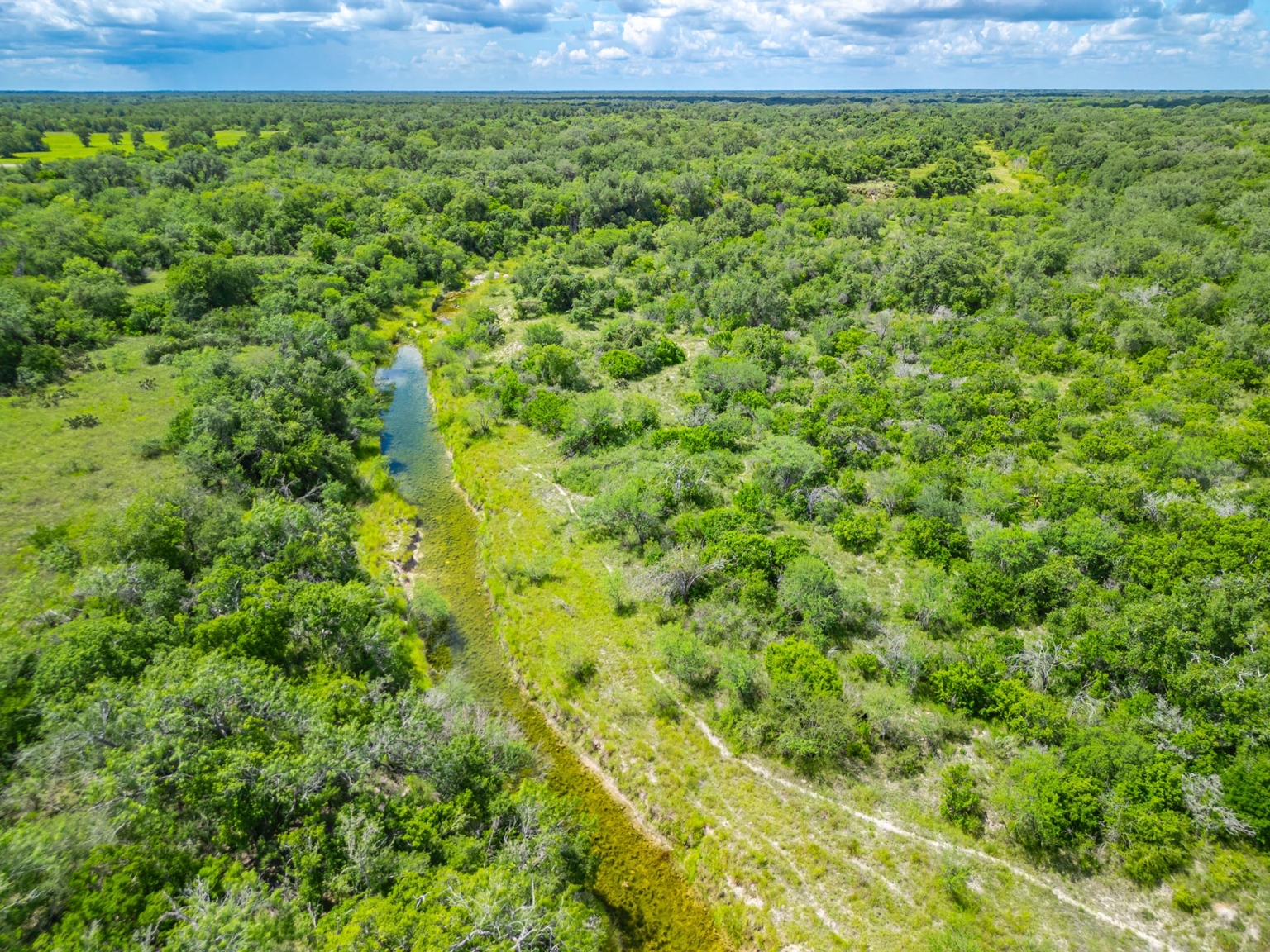 Berclair Ranch | Berclair Texas | Fay Ranches