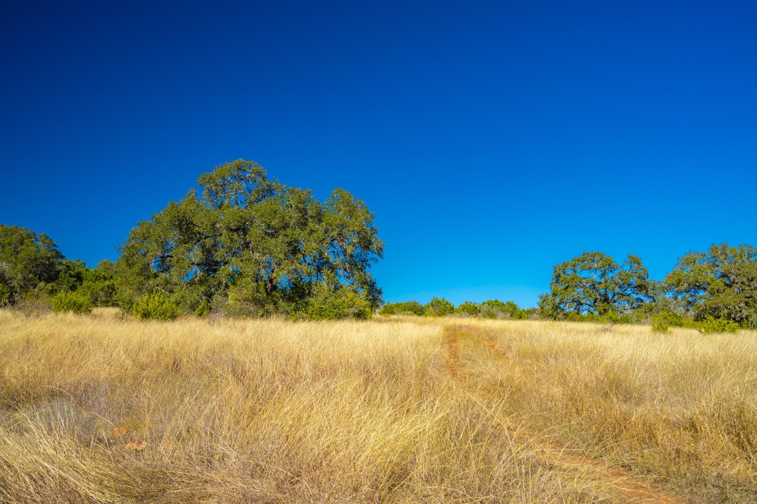 Purgatory Bend Ranch | San Marcos Texas | Fay Ranches