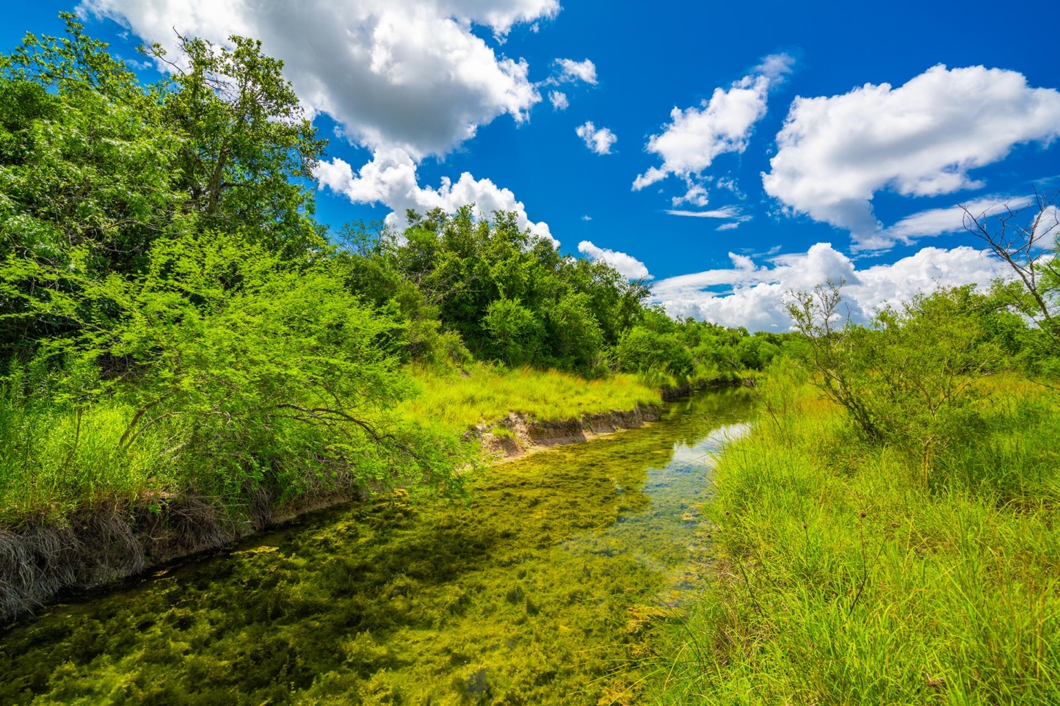 Berclair Ranch | Berclair Texas | Fay Ranches