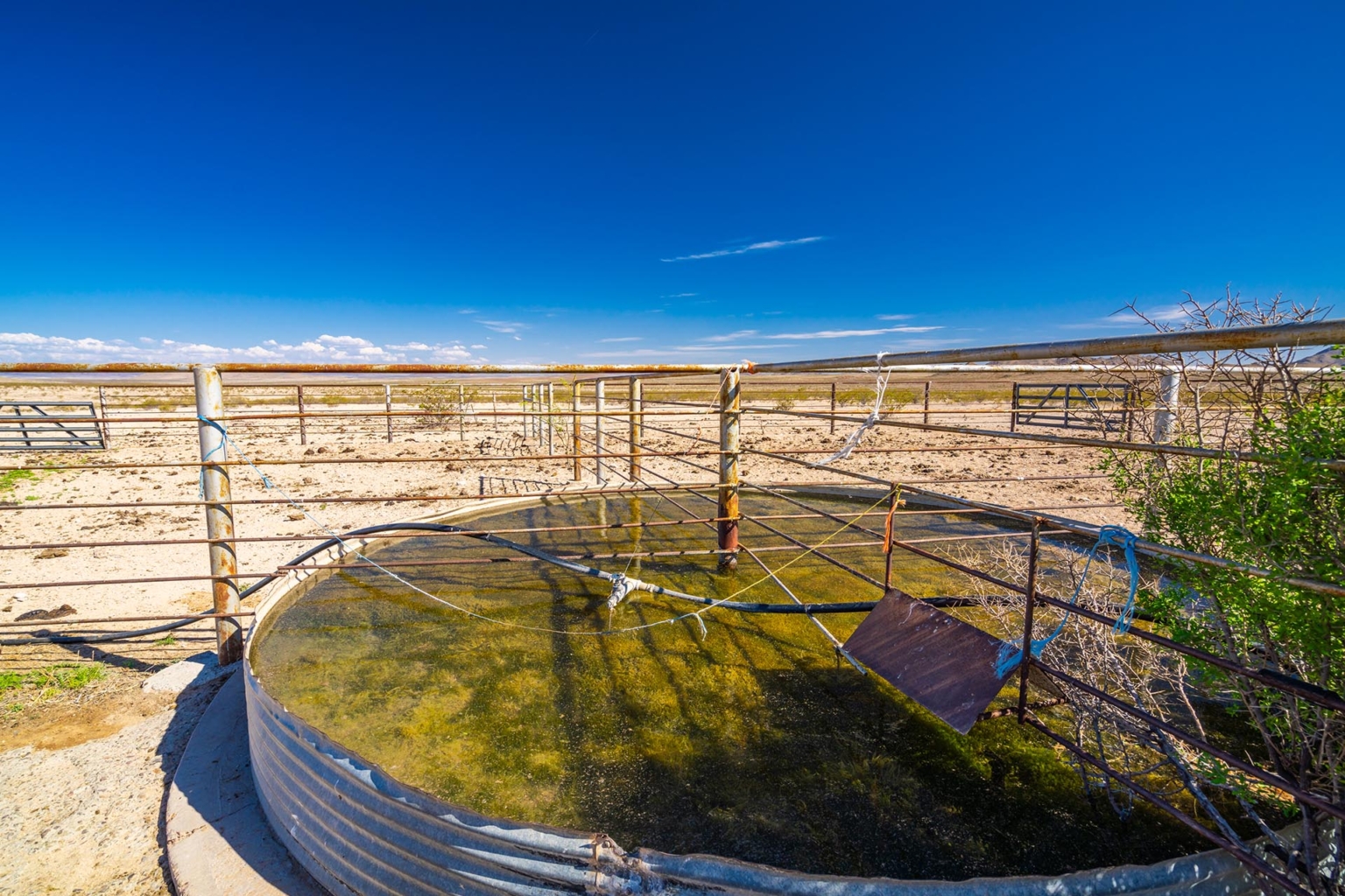 Wylie Mountains Ranch | Van Horn Texas | Fay Ranches