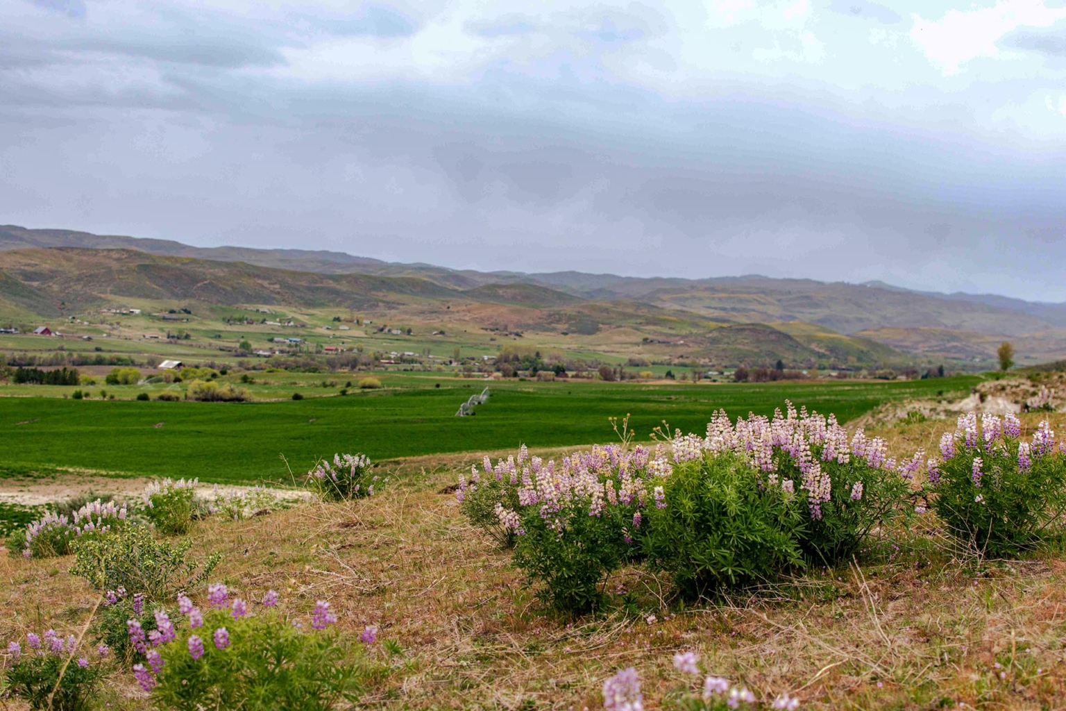 Mann Creek Valley Farm & Ranch | Weiser Idaho | Fay Ranches