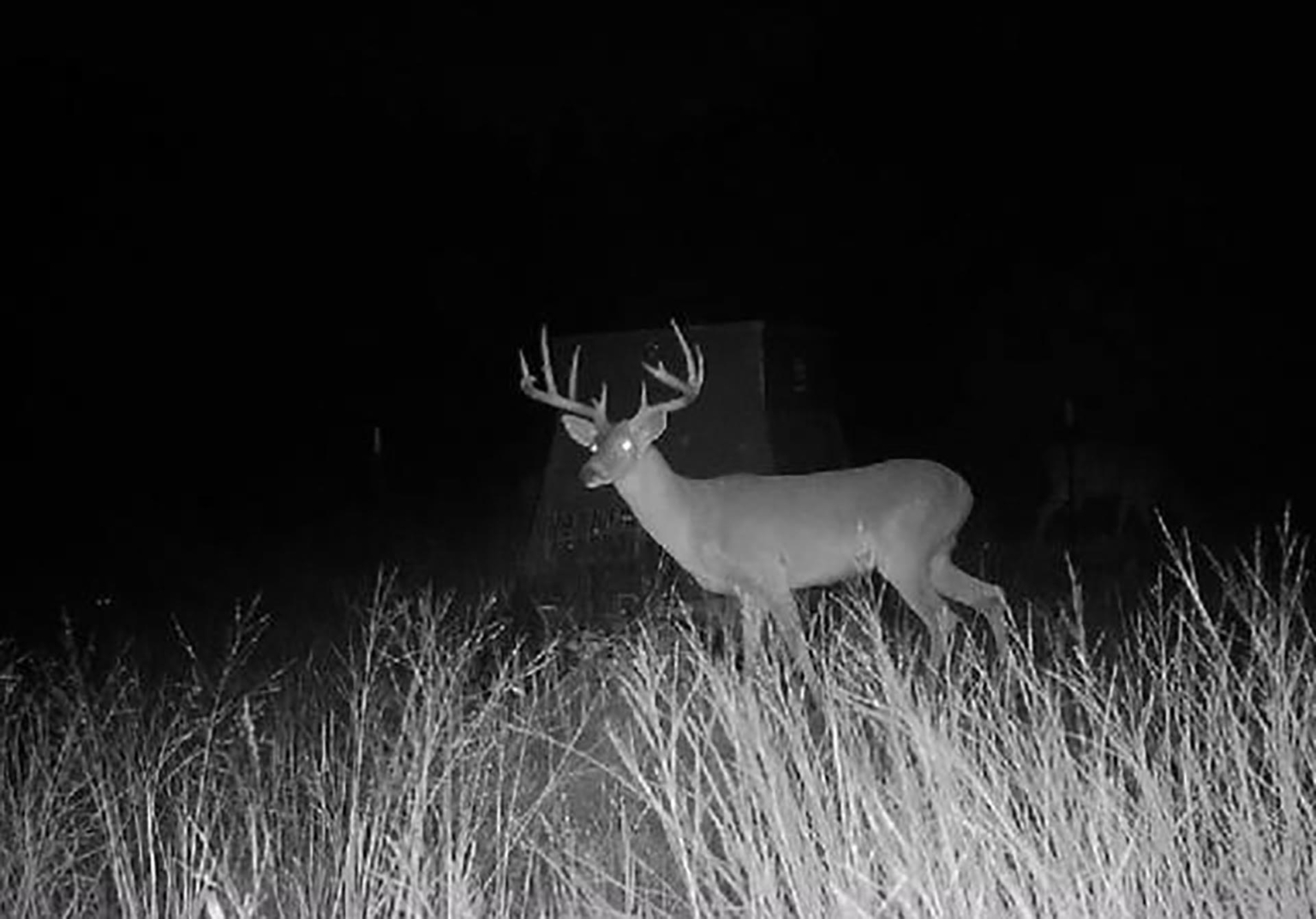 Purgatory Bend Ranch | San Marcos Texas | Fay Ranches