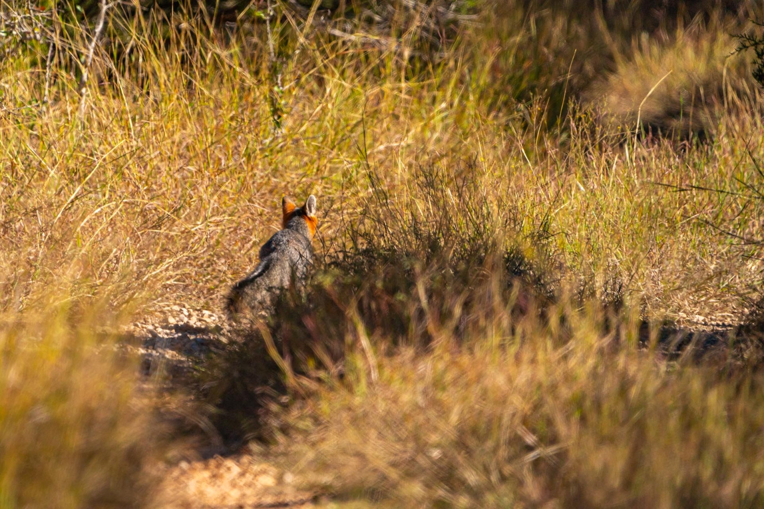 Purgatory Bend Ranch | San Marcos Texas | Fay Ranches