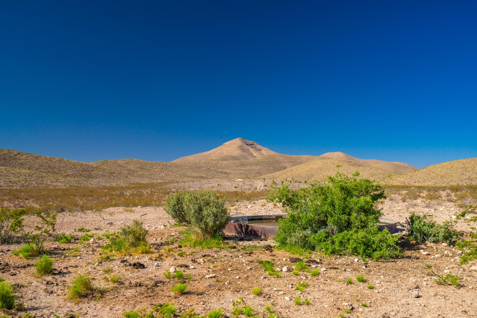 Wylie Mountains Ranch | Van Horn Texas | Fay Ranches