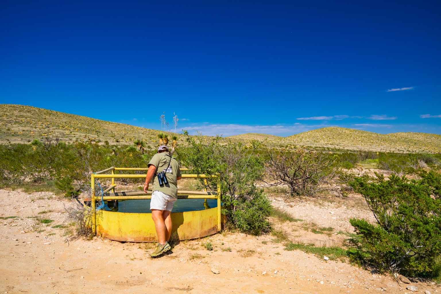 Wylie Mountains Ranch | Van Horn Texas | Fay Ranches
