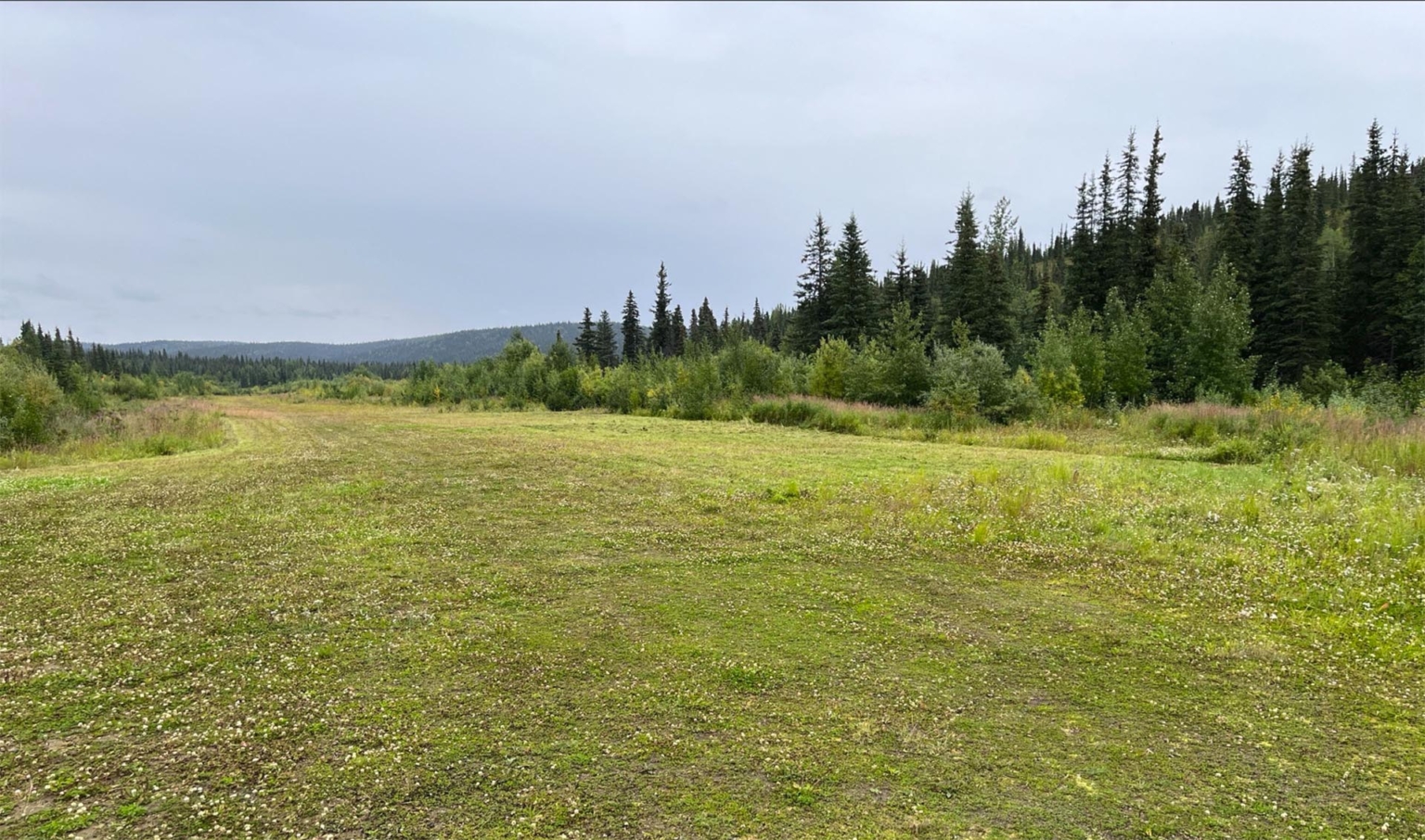 Moore Creek Gold Mine | Fay Ranches