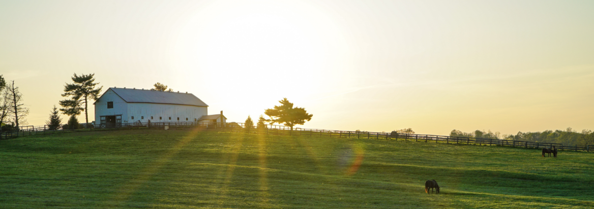 Fay Ranches Brokers Honored as Top Land Professionals in APEX Awards ...