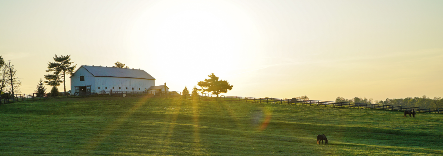 Fay Ranches Brokers Honored as Top Land Professionals in APEX Awards ...