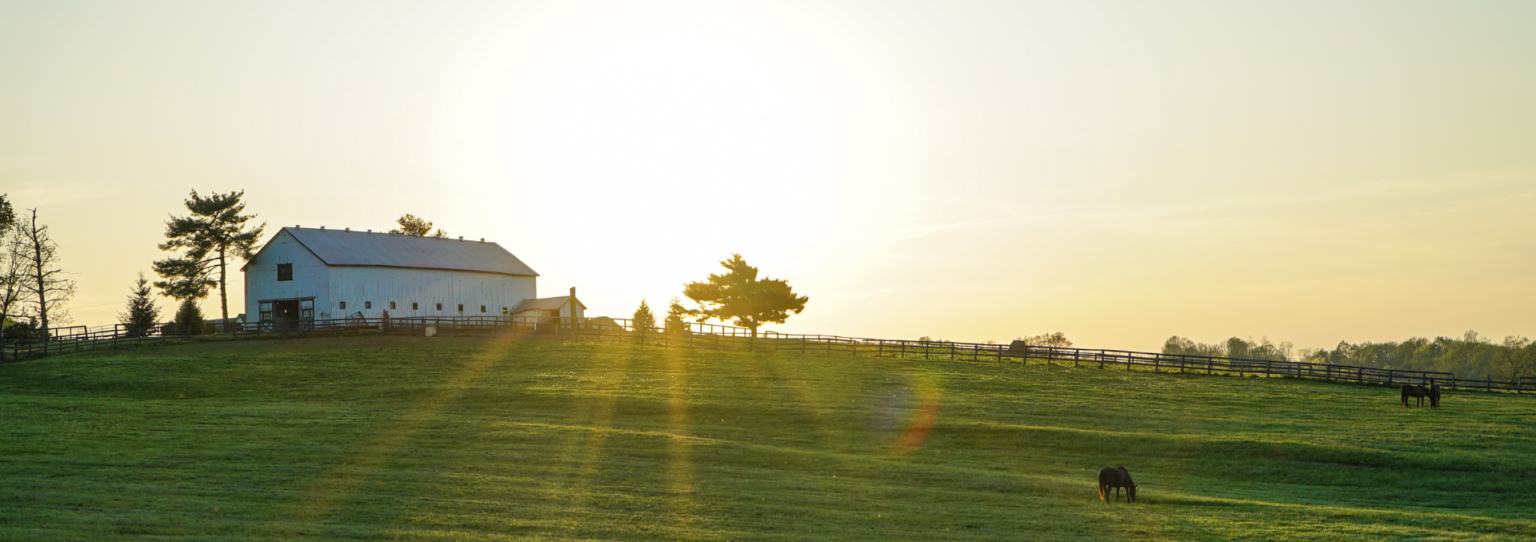 Fay Ranches Brokers Honored as Top Land Professionals in APEX Awards ...