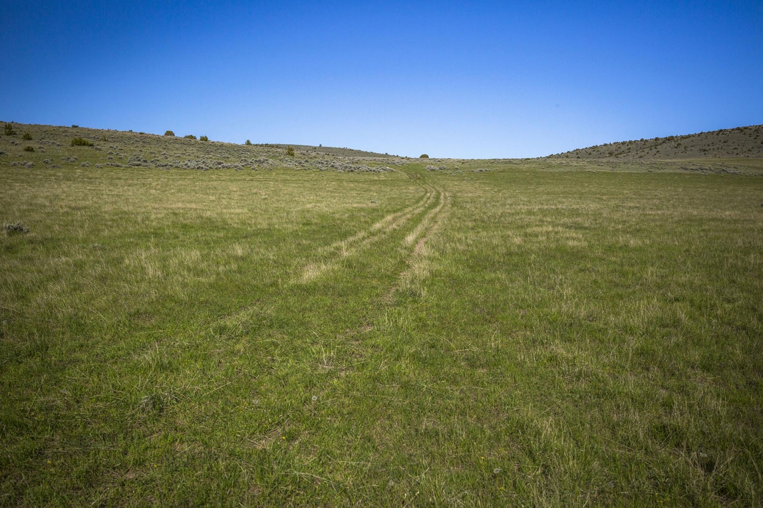 Horseshoe Foothills Ranch | Belgrade Montana | Fay Ranches